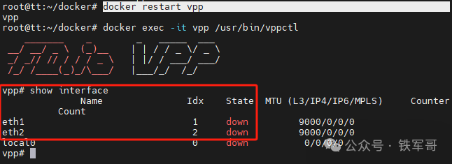 Docker + VPP强强联合：在Docker容器中玩转高性能VPP路由！-CSDN博客