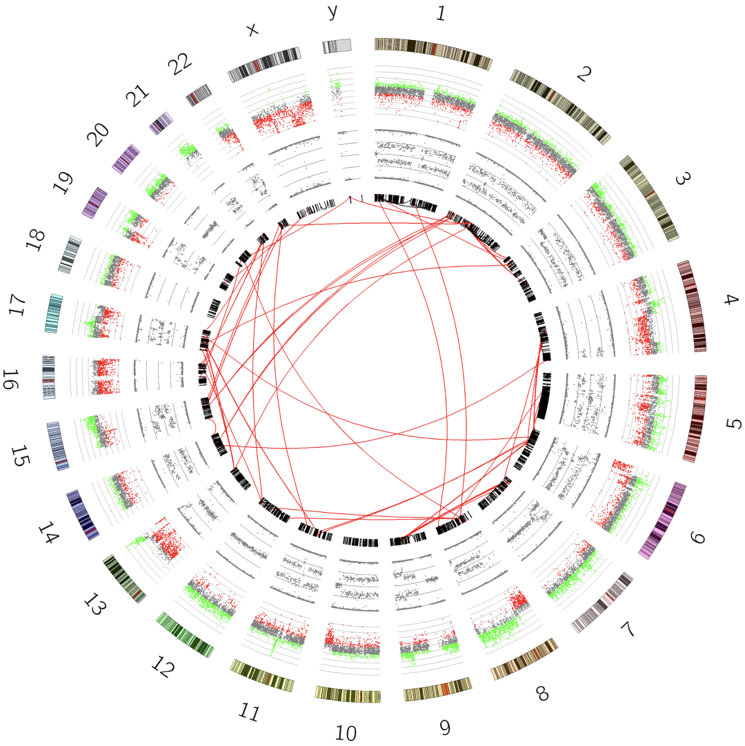 零代码轻松绘制出版级别的circos圈图-CSDN博客