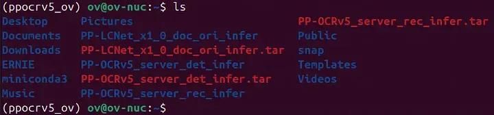 一键搞定！PP-OCRv5模型转ONNX格式全攻略，解锁多平台无缝部署_pp-ocrv5模型 onnx格式下载-CSDN博客