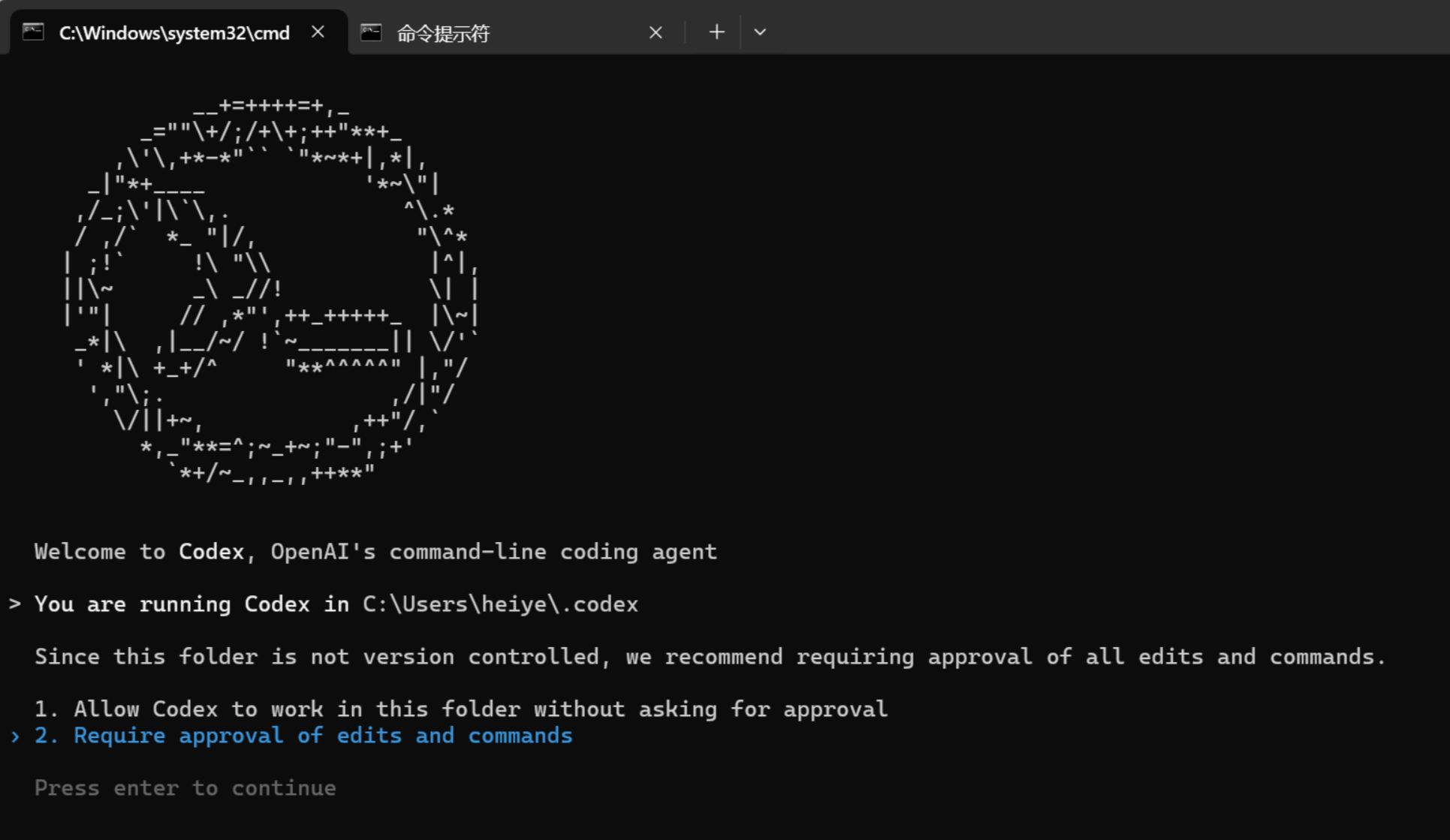 Claude Code 的替代者：Codex 快速安装指南_codex安装-CSDN博客