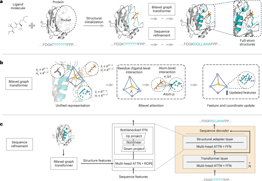 AIDD - 人工智能药物设计 -PocketGen高效生成蛋白口袋_蛋白酶设计 aidd-CSDN博客