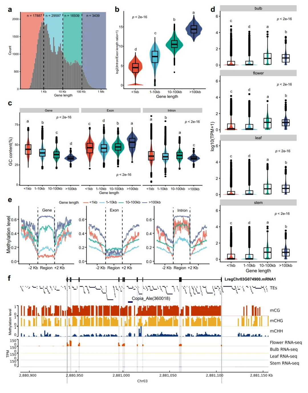 Nature Communication | 百合染色体基因组，PacBio HiFI+Hi-C，基因组大小35.6G-CSDN博客