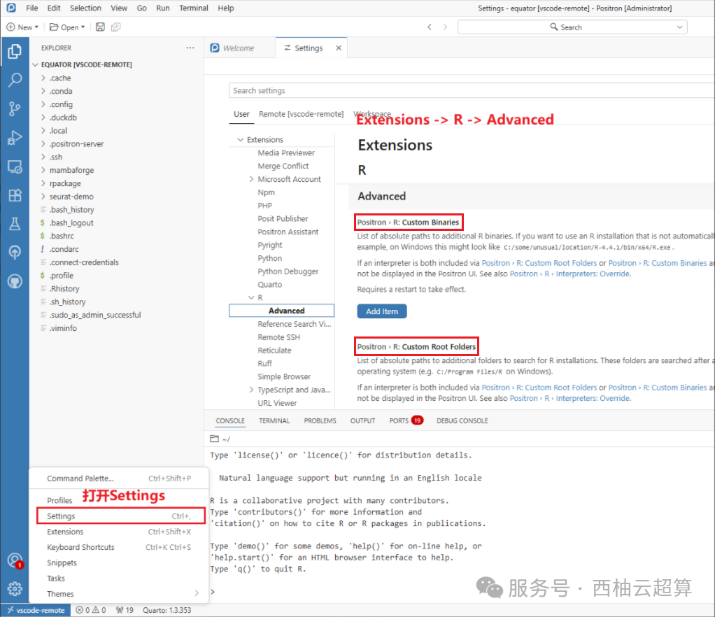 抛弃Rstudio后的Positron秘籍_如何获得positron在服务段运行的代码记录-CSDN博客
