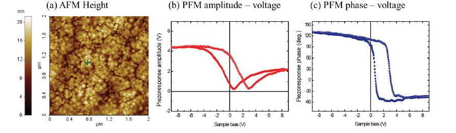 原子力显微镜（AFM）到底能测出啥？_afm测力最厉害三个指标-CSDN博客