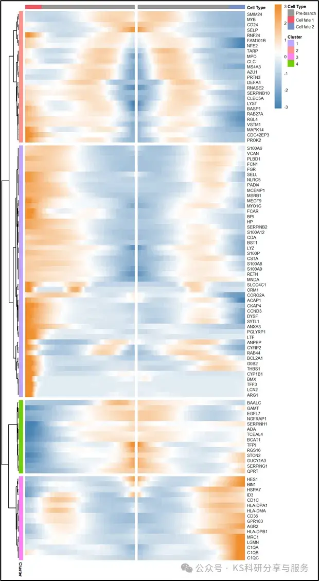 (视频教程): Monocle2安装包测试、分析流程及可视化修饰_cytotrace2如何映射到monocle-CSDN博客