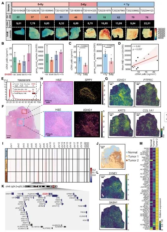 Cell | 华大Stereo-seq实现宿主-微生物时空解析，破解FFPE难题-CSDN博客