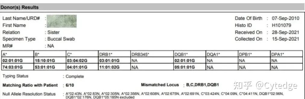 NK细胞的HLA和KIR的配型_kir b型-CSDN博客