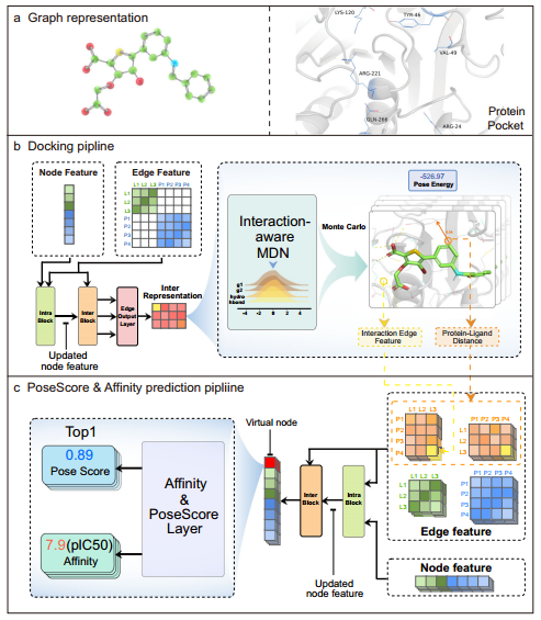 Interformer：蛋白质-配体对接和亲和力预测的相互作用感知模型-CSDN博客