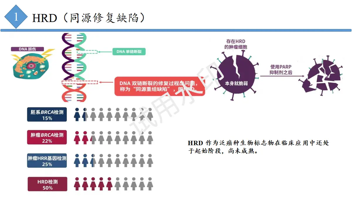 课前准备--HRD数据分析-CSDN博客