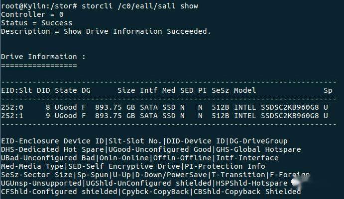 使用storcli工具配置RAID-CSDN博客