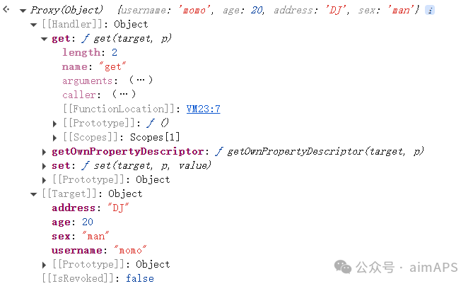 JS逆向-Proxy代理_js proxy-CSDN博客