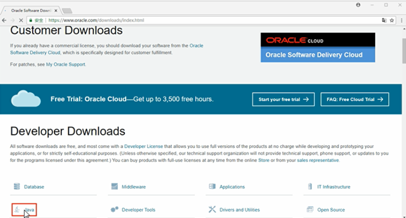 Java JDK11的下载和安装详解教程_jdk11下载-CSDN博客