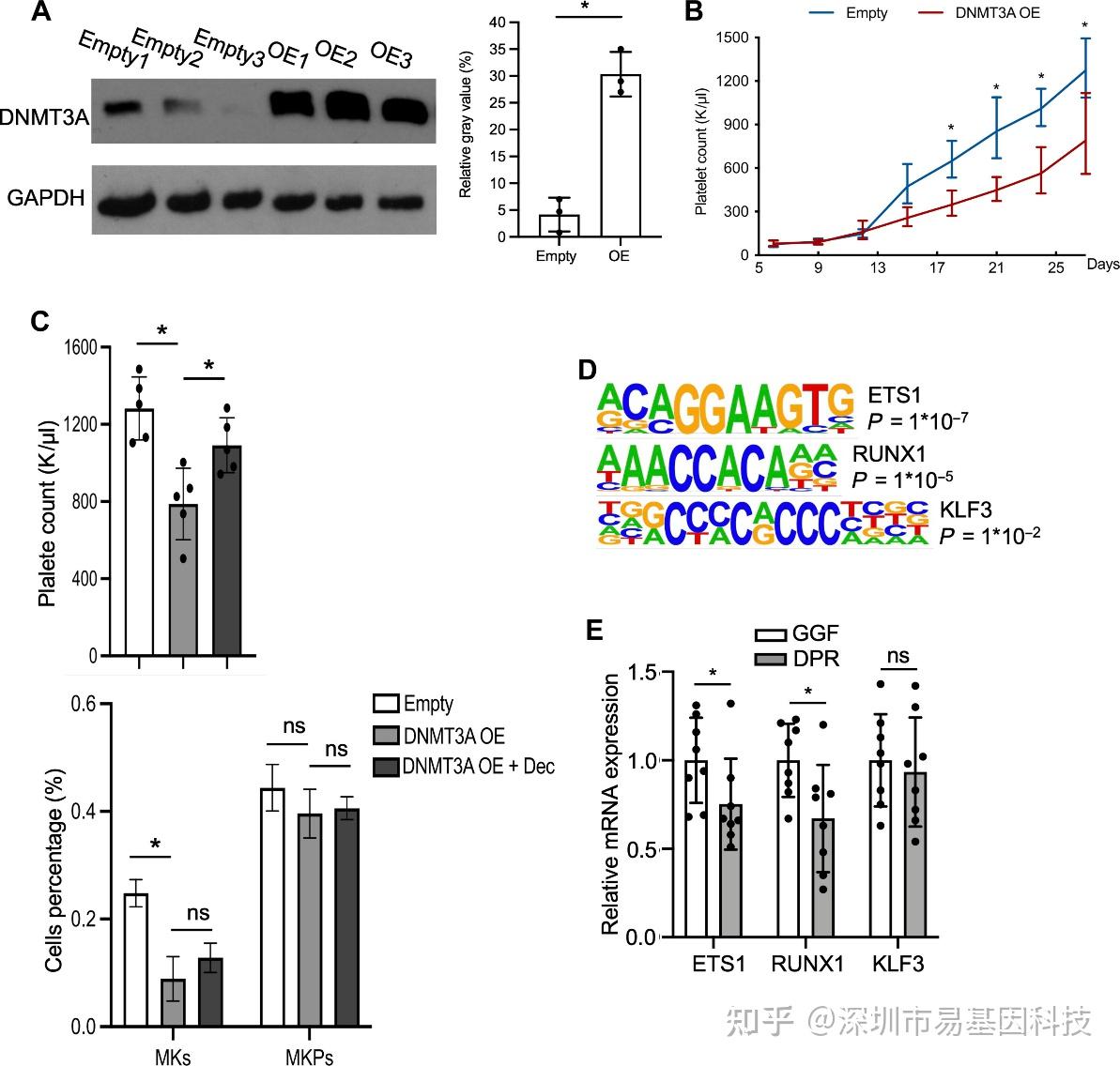易基因：Sci Adv：WGBS+ChIP-seq揭示DNA甲基化在异基因造血干细胞移植后延迟血小板恢复中的关键作用 | 项目文章-CSDN博客