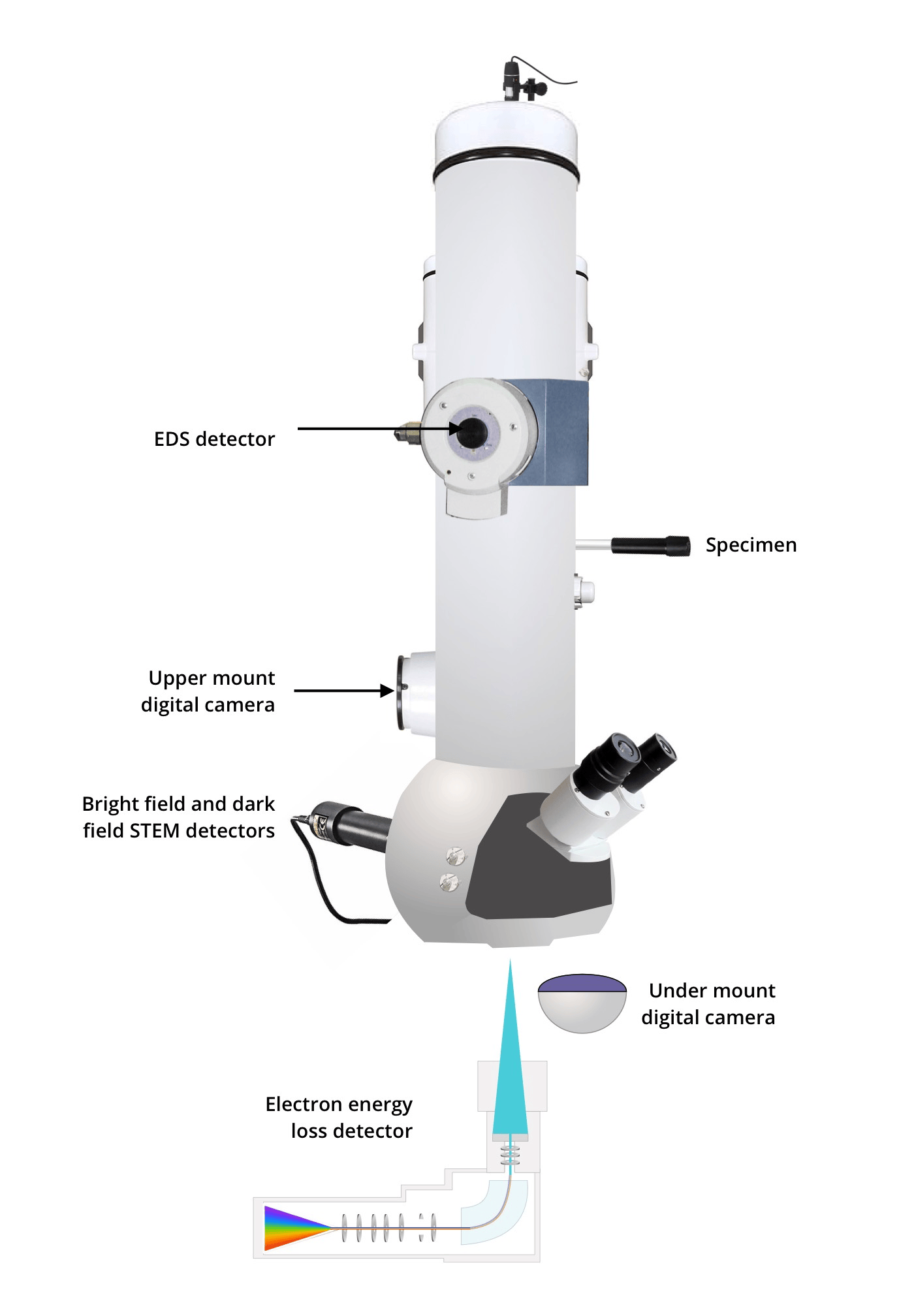 技术解读专栏|透射电子显微镜（TEM）_tem 影像和衍射模式-CSDN博客