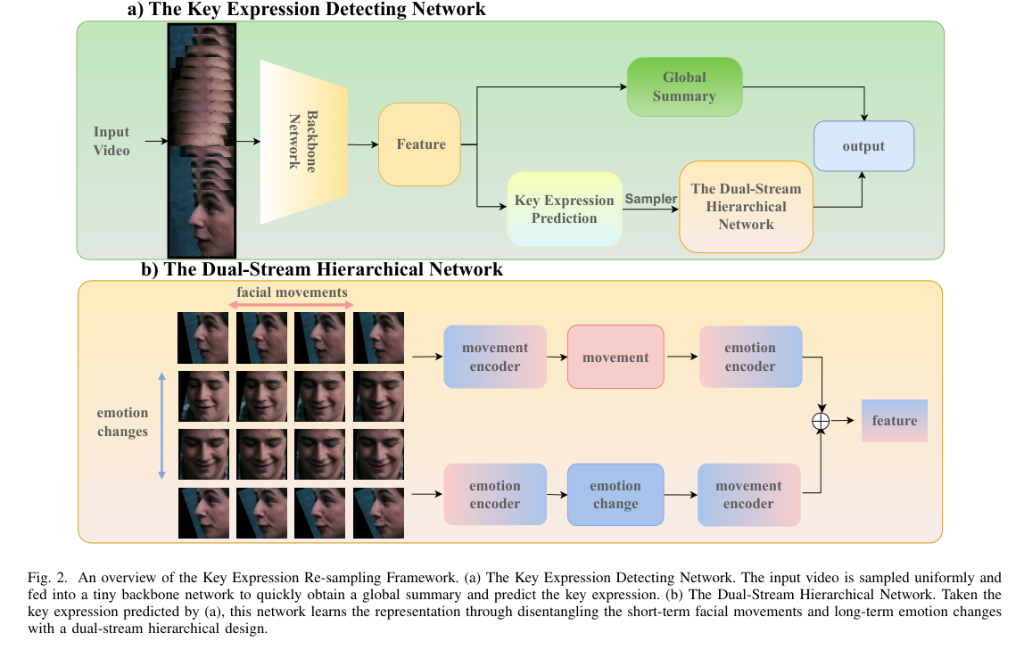 动态面部表情识别（DFER）：Robust Dynamic Facial Expression Recognition-CSDN博客