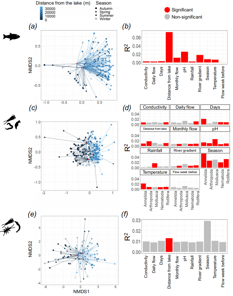 Nature子刊|eDNA项目，如何做出亮点？_河流edna-CSDN博客