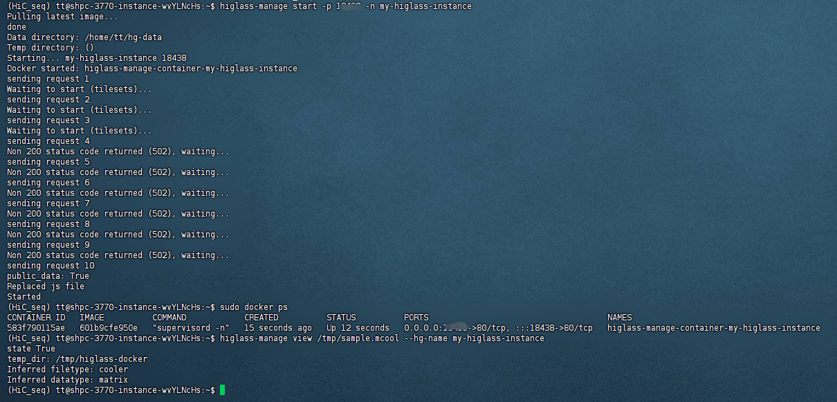 HiGlass基因组可视化工具部署指南_higraph 使用教程-CSDN博客