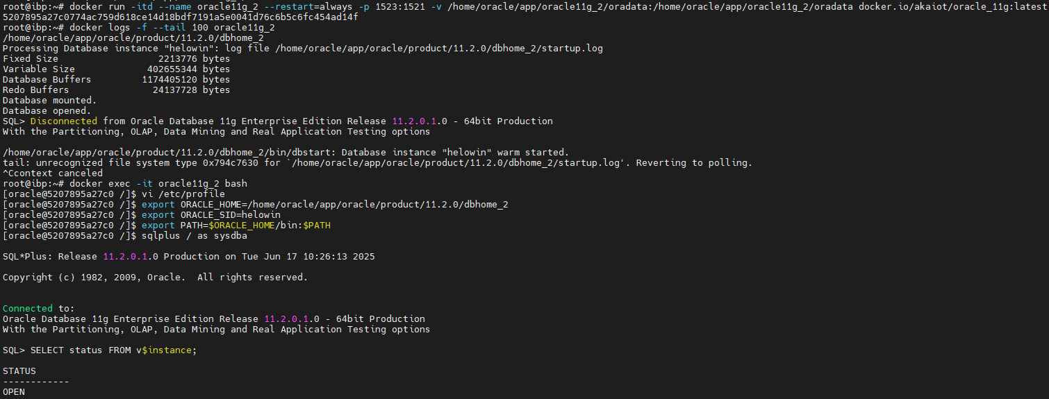 Oracle 11g Docker安装和配置_docker安装oracle11g-CSDN博客
