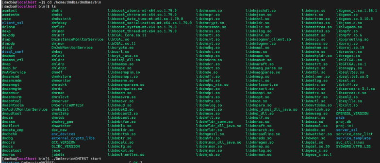Linux下DM8数据库安装和基础命令_dm8数据库安装及使用-CSDN博客