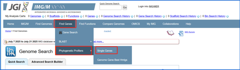 手把手教学|原核生物特异性引物设计指南_primer3plus引物设计教程-CSDN博客