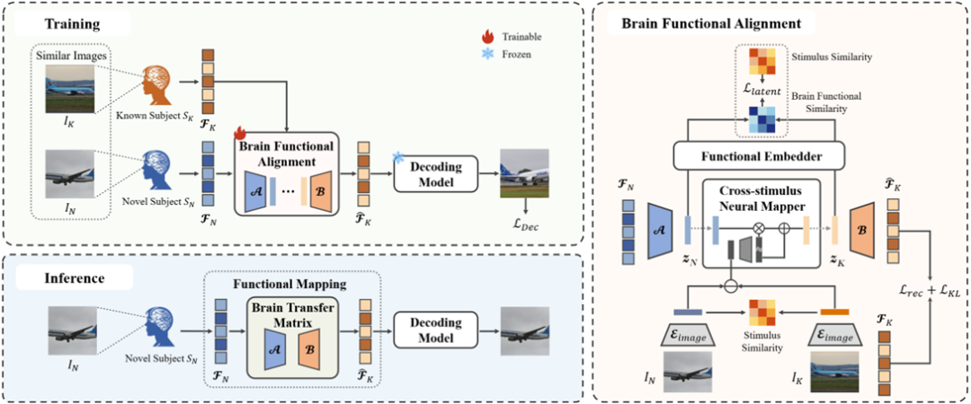 ICML25︱仅用1小时数据，MindAligner 跨个体显式对齐框架破解脑视觉解码难题-CSDN博客