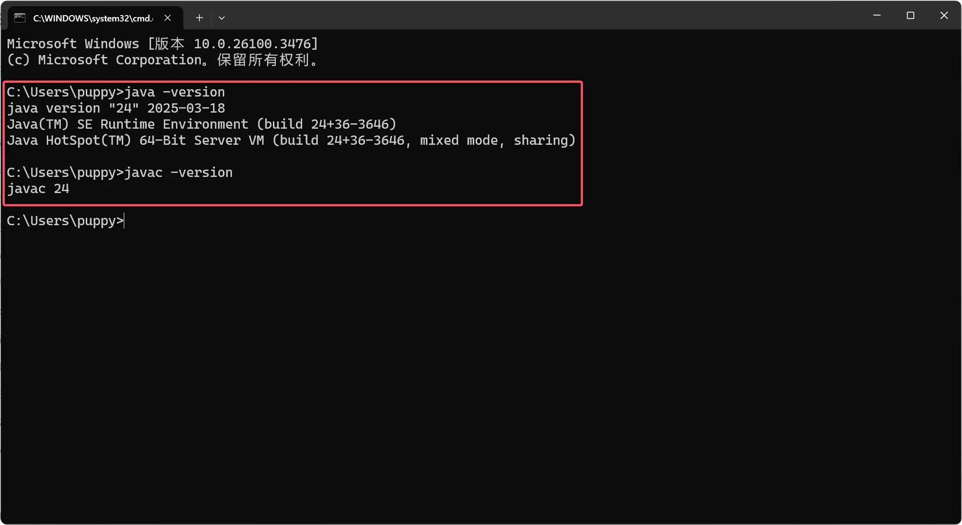 Burp Suite 的安装（2025）_burpsuite 2025-CSDN博客