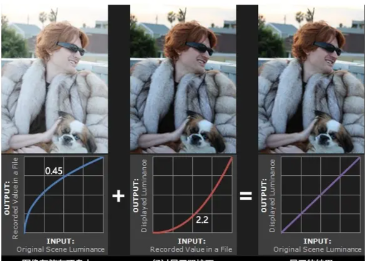 从 0 到 1 读懂 Gamma 校正_gamma校正-CSDN博客