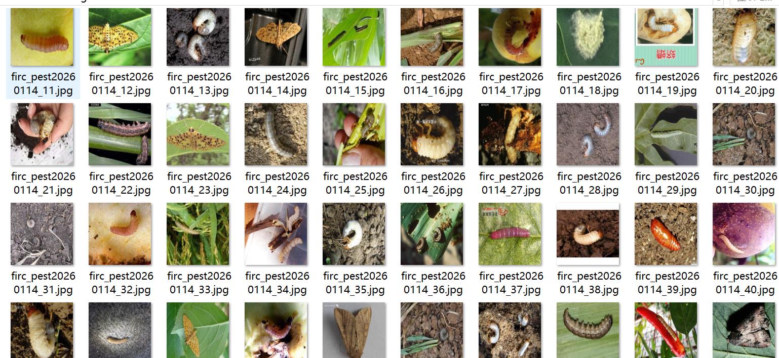 农业田间害虫检测数据集VOC+YOLO格式2968张16类别-CSDN博客