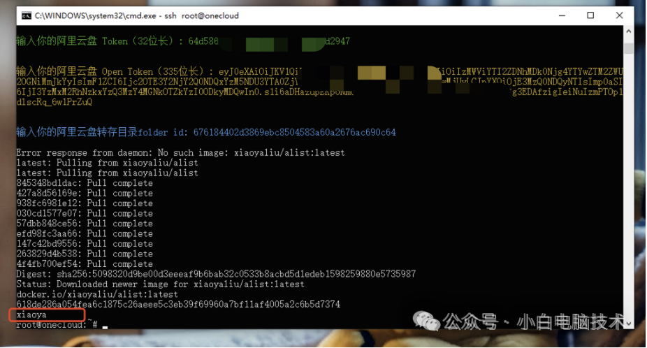玩客云OneCloud部署小雅xiaoya教程来袭！_玩客云刷小雅-CSDN博客