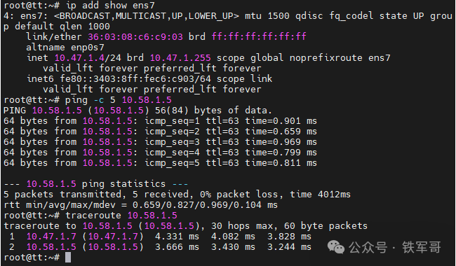 Docker + VPP强强联合：在Docker容器中玩转高性能VPP路由！-CSDN博客