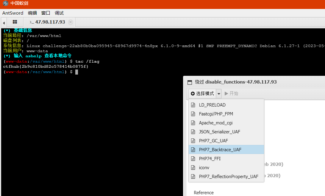 ctfhub disable_functions_蚁剑bypass disable function插件教程-CSDN博客