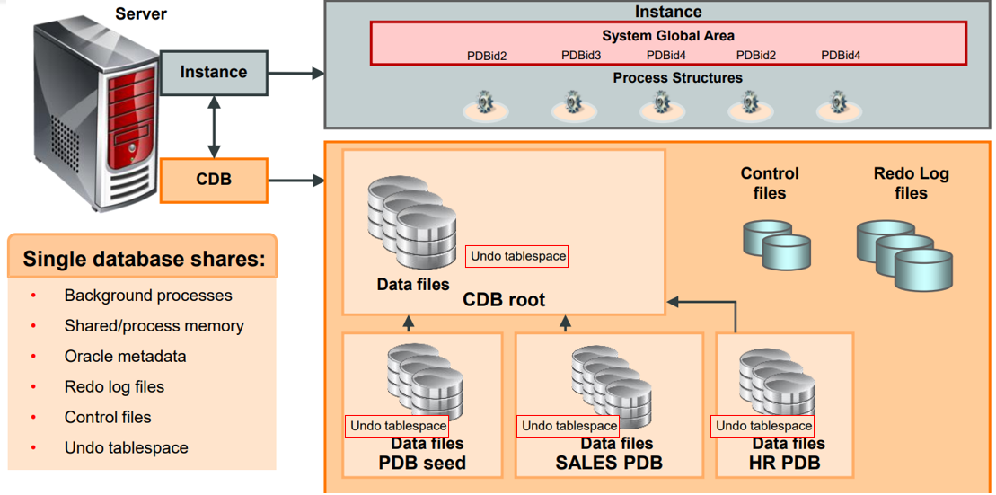 19c多租户架构下的UNDO管理- Local Undo-CSDN博客