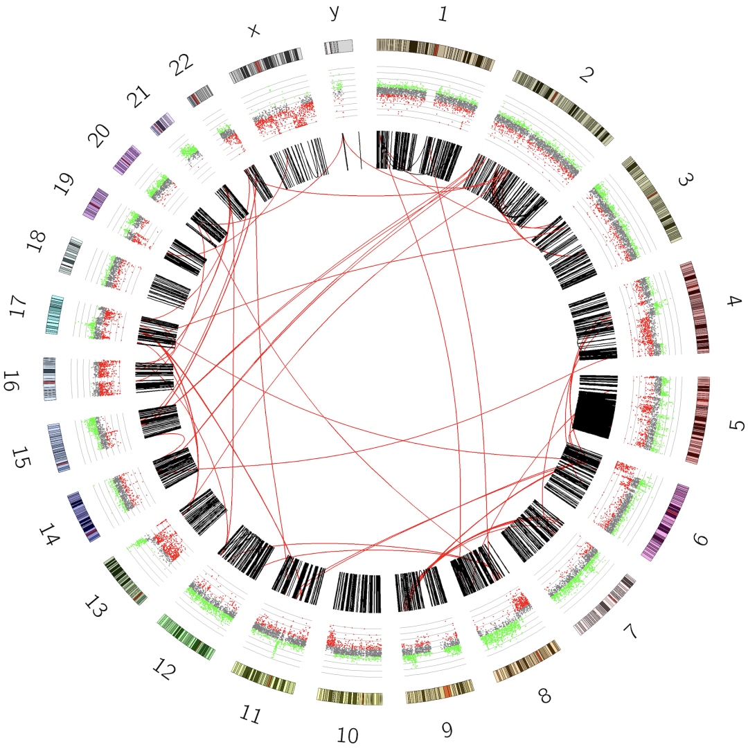 零代码轻松绘制出版级别的circos圈图-CSDN博客