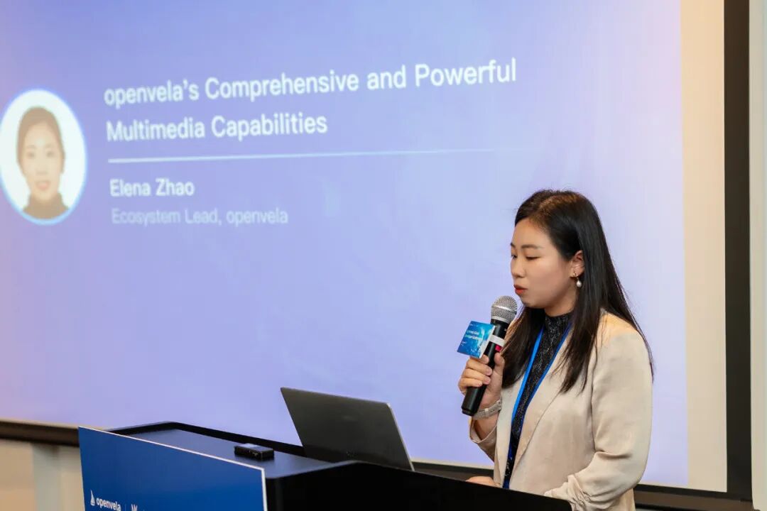 openvela 首届全球开发者大会圆满落幕，NuttX 创始人 Greg 亲临现场，共话 AIoT 生态-CSDN博客