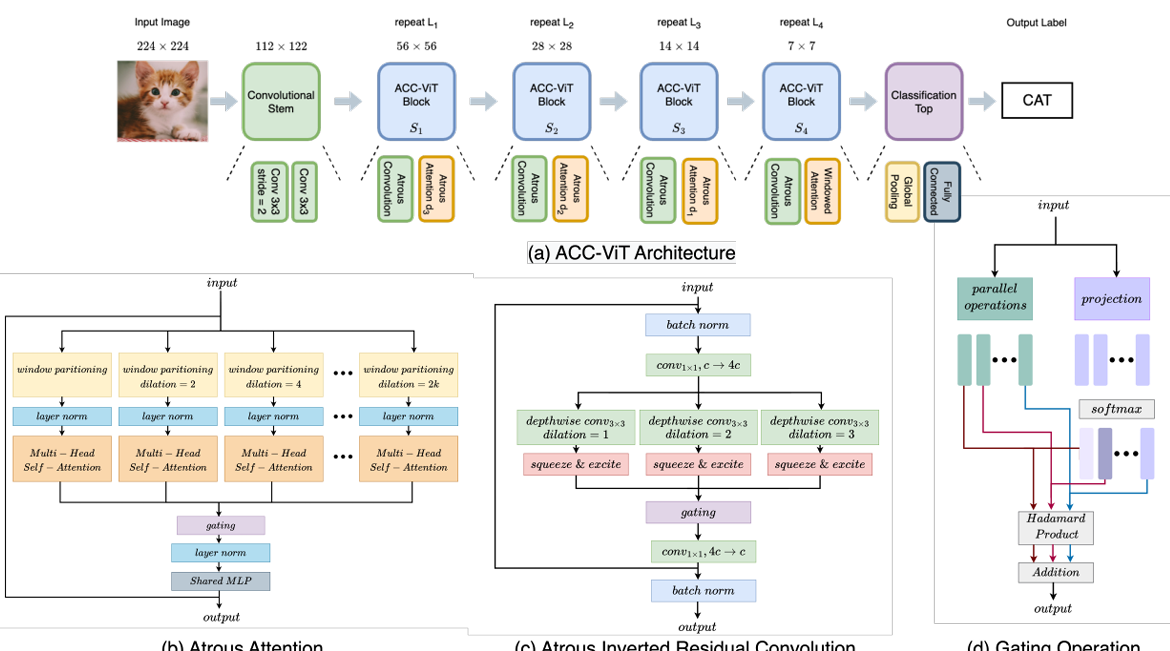 注意力机制又起飞了！“大核卷积+Attention”横扫CVPR！_大卷积核+注意力-CSDN博客