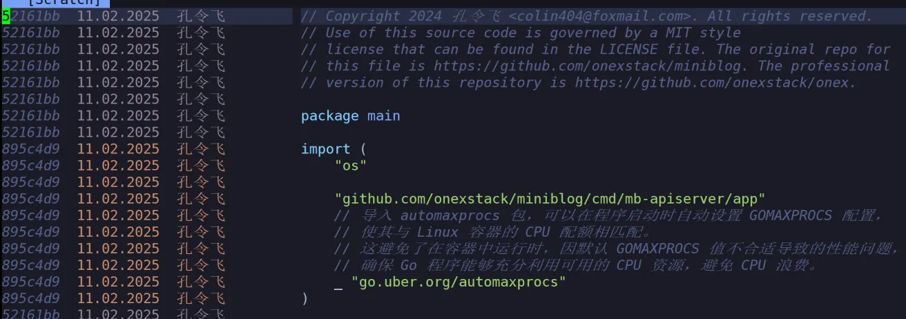 Neovim Go IDE 安装和配置-CSDN博客