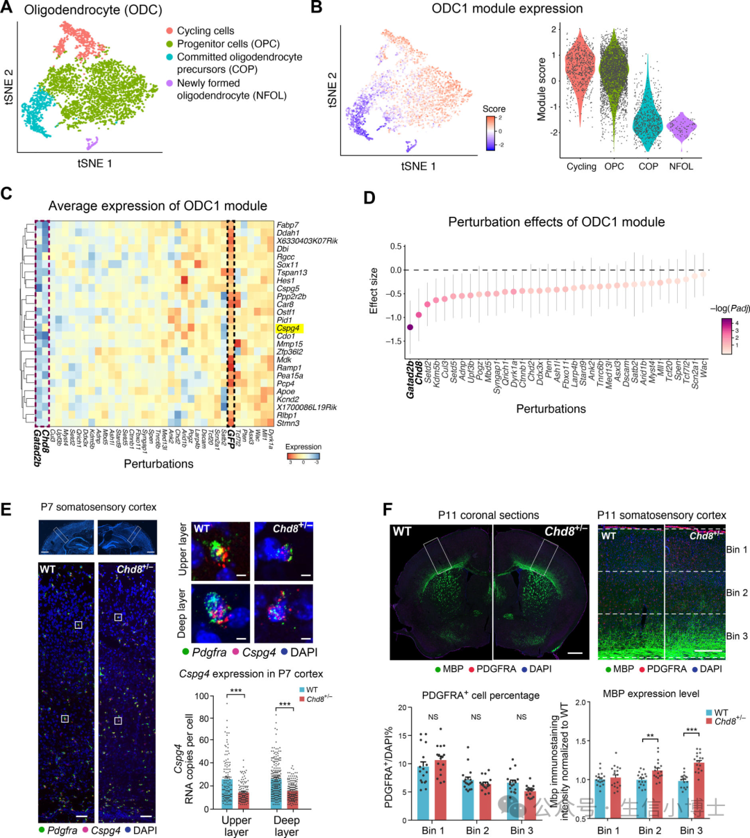 Science|单细胞2.0时代来了：Perturb-seq在体应用首秀！-CSDN博客