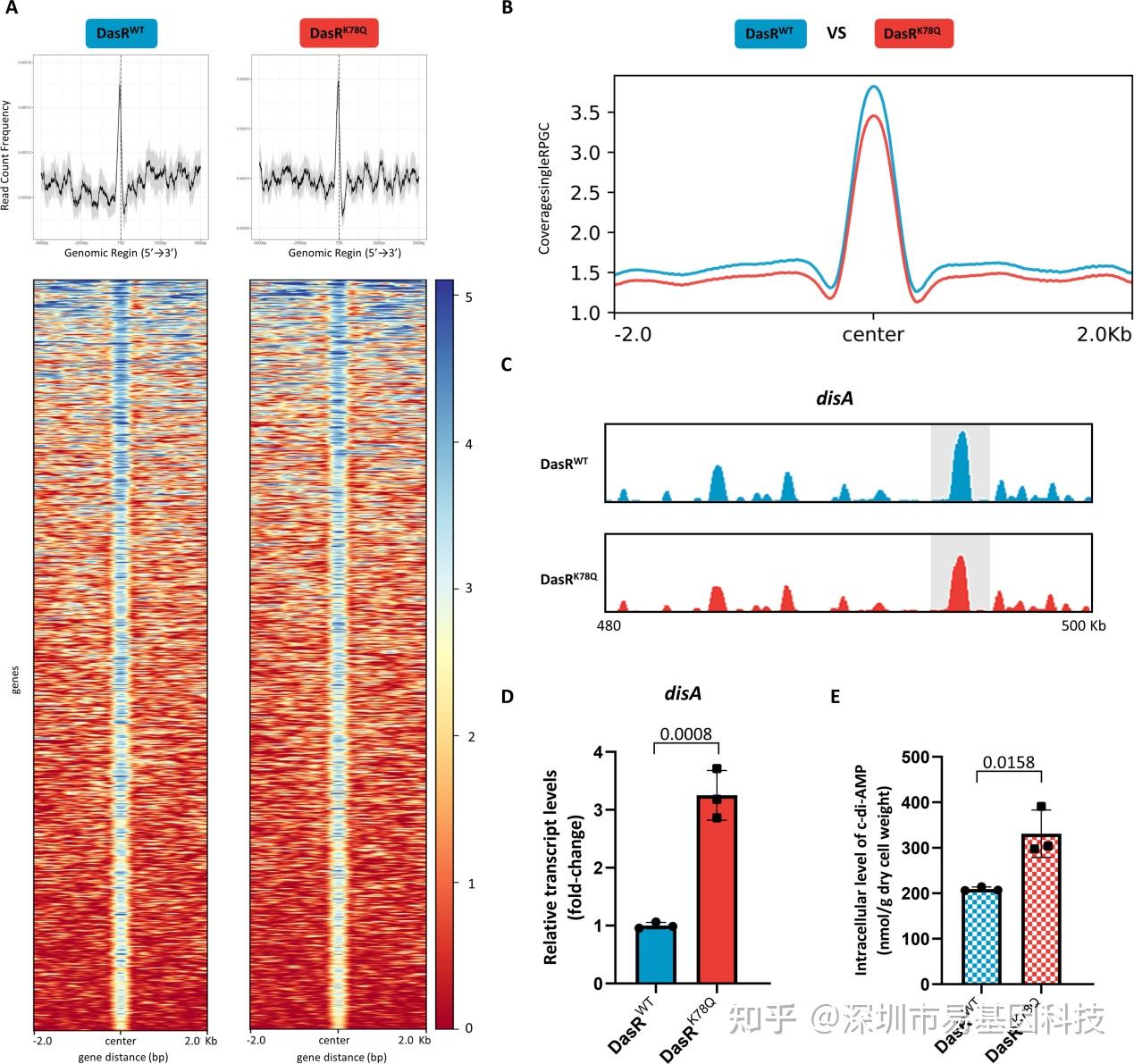 易基因：mBio：ChIP-seq助力揭示AcP依赖性乙酰化修饰网络对放线菌c-di-AMP稳态的调控机制|项目文章-CSDN博客