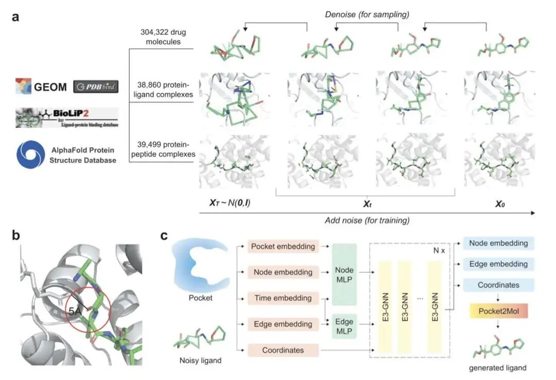 AIDD-人工智能药物设计-Peptide2Mol：AI 直接生成模拟多肽的小分子，用于靶向蛋白质结合-CSDN博客