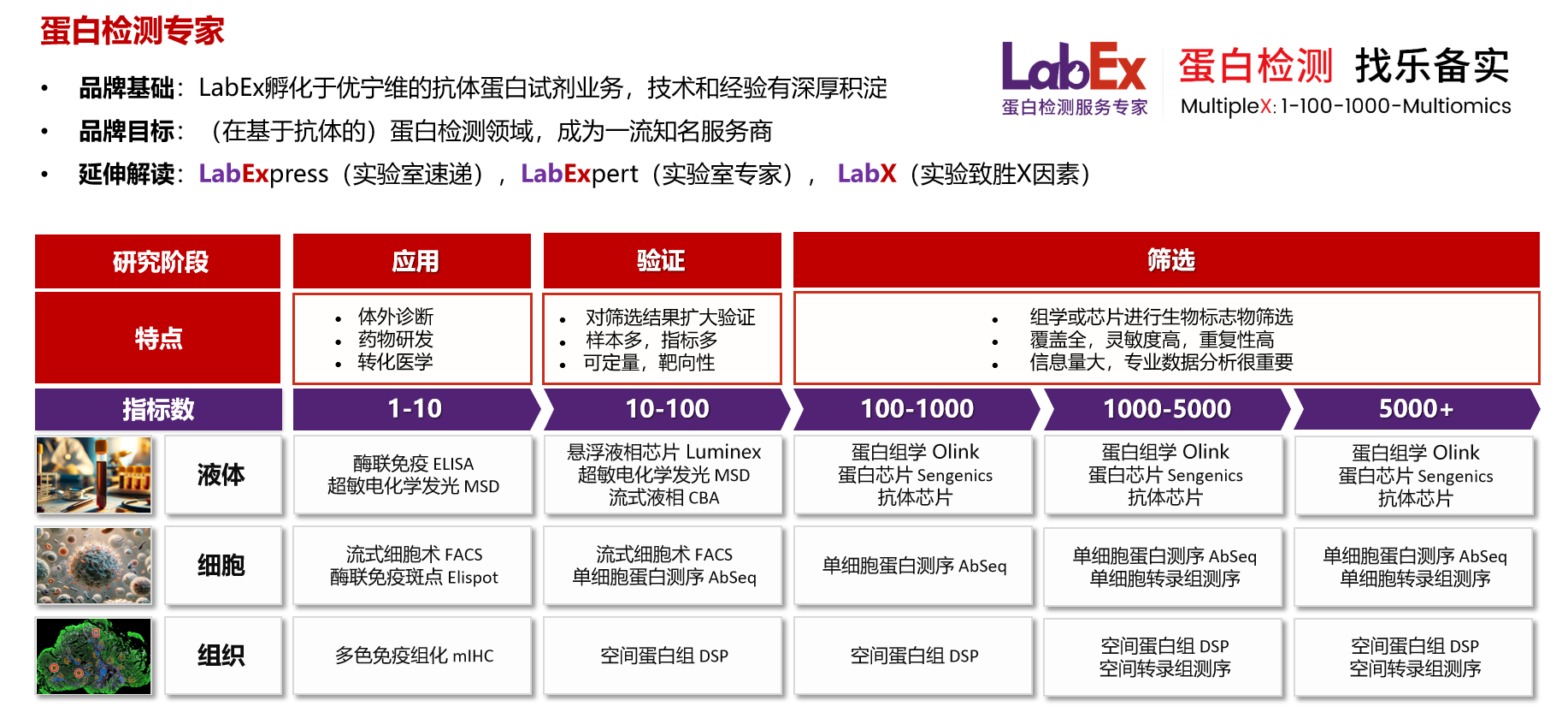 血液系统恶性肿瘤中CAR-T细胞疗法的优化策略与研究进展_cart进展与改良策略-CSDN博客