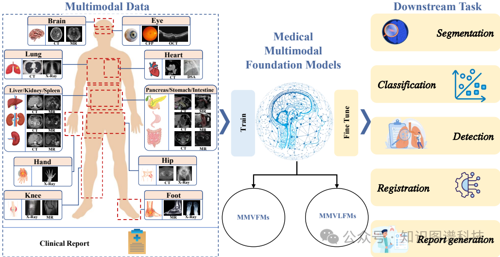 【医疗大模型】医疗多模态基础大模型在临床诊疗中的应用、挑战与未来方向_medical multimodal foundation models in clinical d-CSDN博客