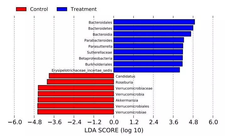 LEfSe分析，你真的懂了么-CSDN博客