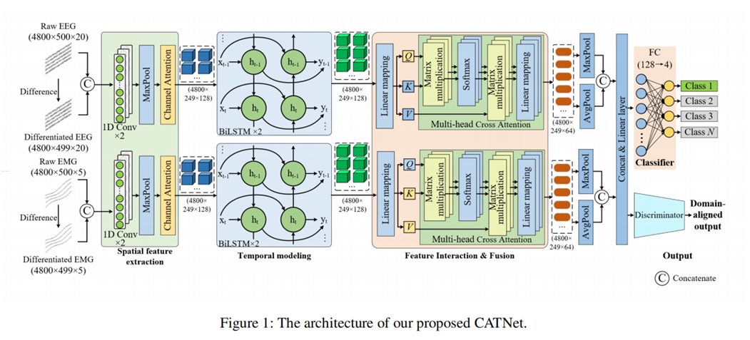 AAAI 2026 | CAT-Net：基于交叉注意力的声调网络—面向跨被试的EEG-EMG融合声调解码-CSDN博客