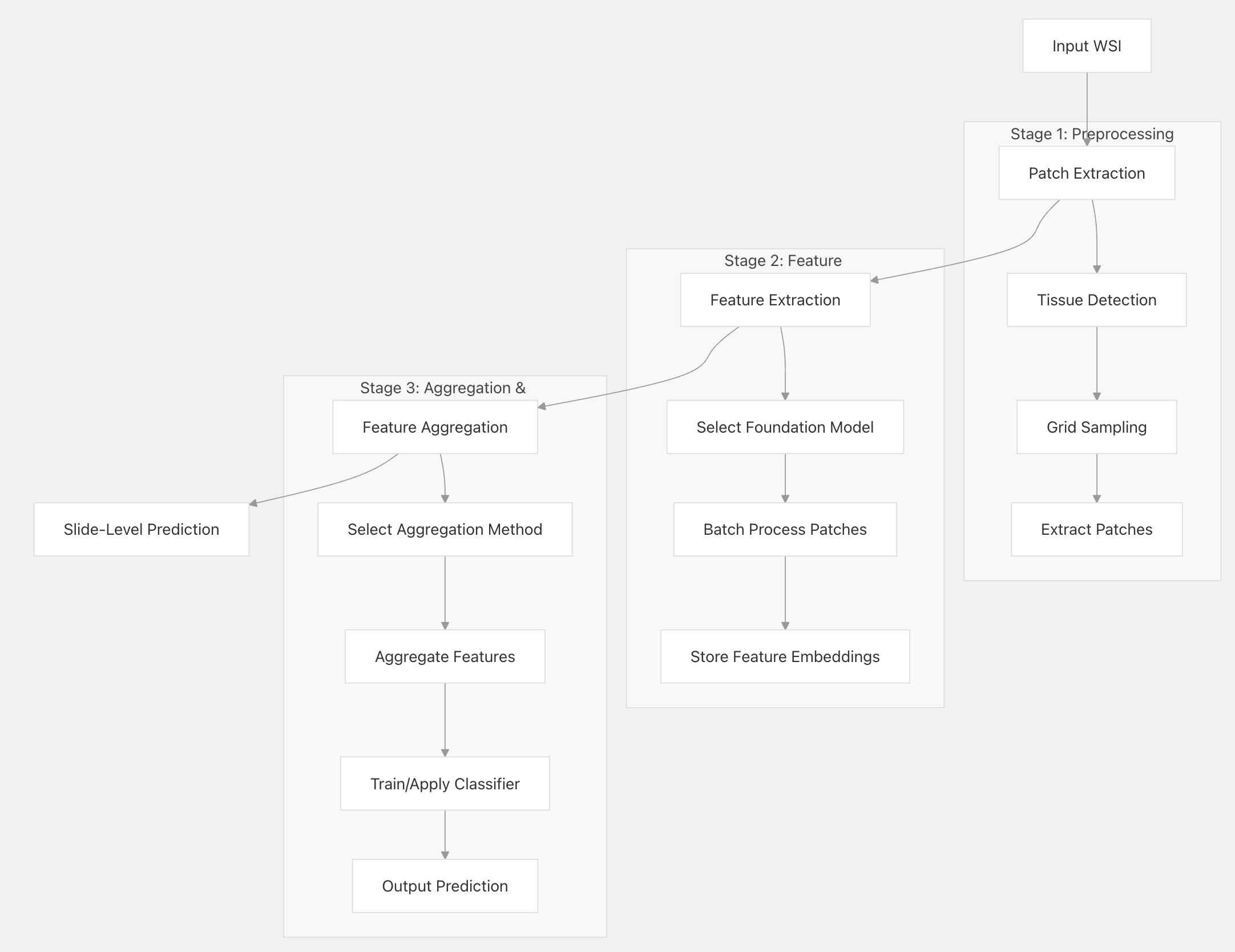 借助病理AI基础模型处理病理切片，最终得到切片级聚合和分类结果的完整工作流程_mil aggregation method-CSDN博客