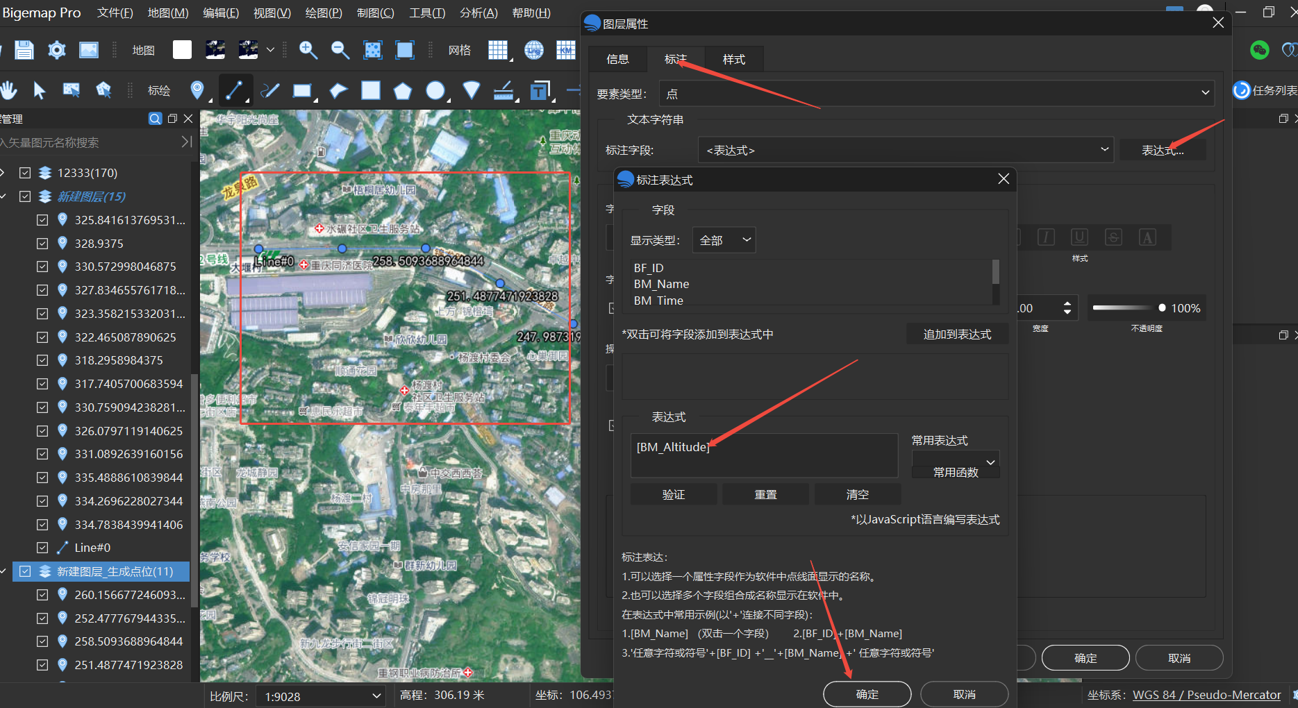超详细！Bigemap Pro 制作高程点（海拔 DAT）全教程_bigemap高程数据精度-CSDN博客
