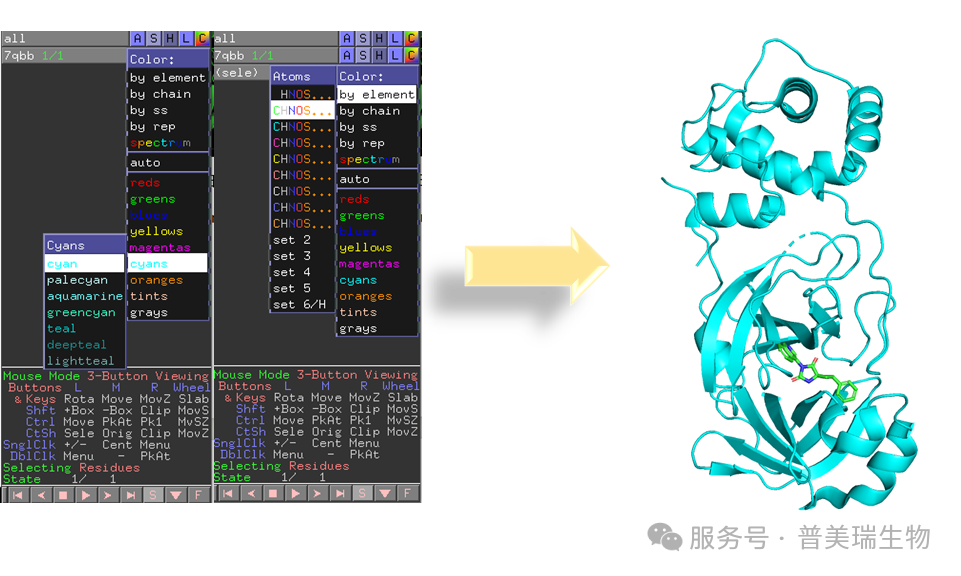化学小工具之PyMol（三）_怎么在pymol将结构360°展示,做成动画展示-CSDN博客