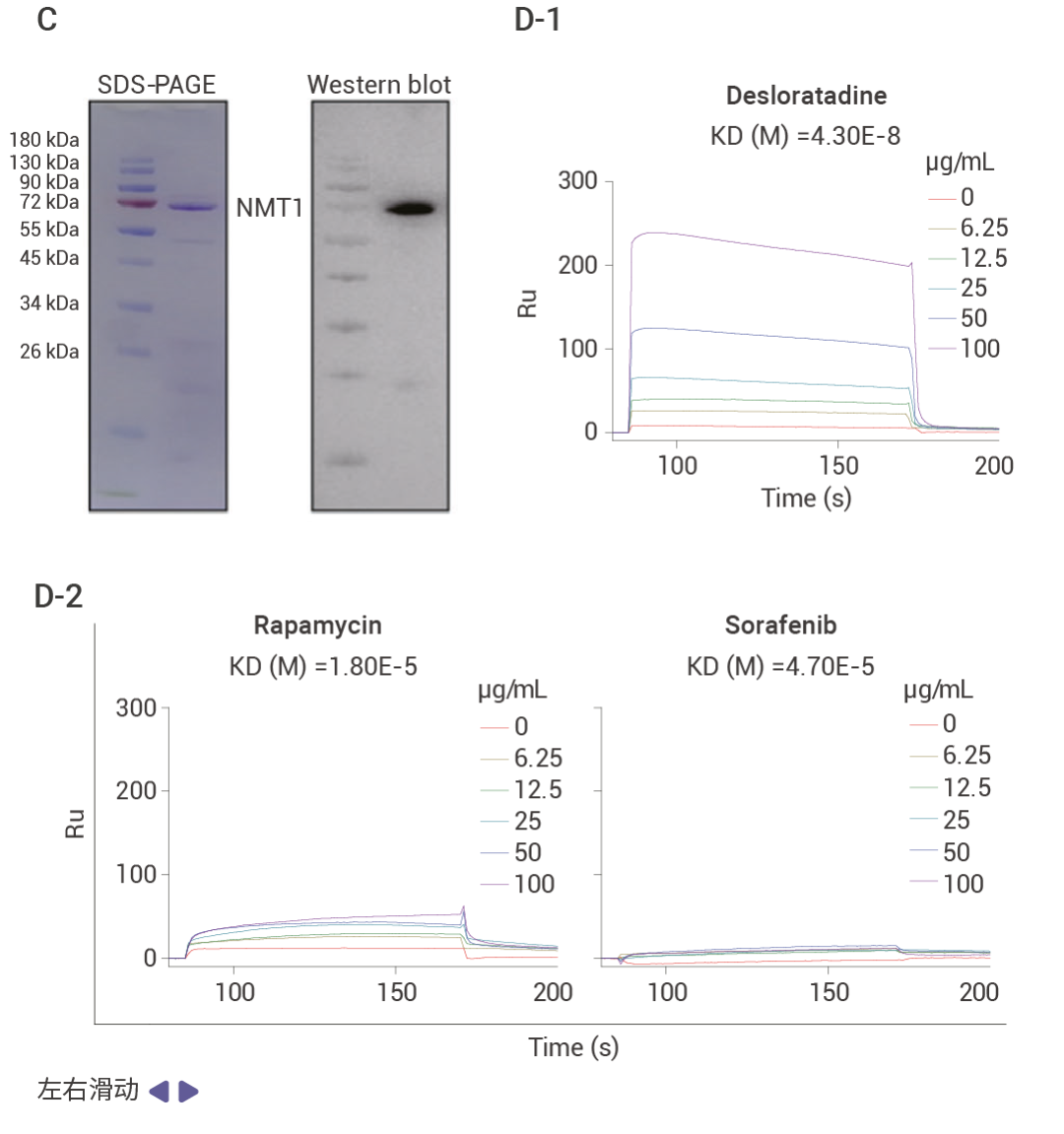 探索活性分子发挥效应的 “神秘“ 机制_MedChemExpress(MCE 中国)-CSDN博客