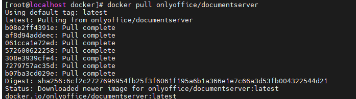 Docker 20+部署OnlyOffice全攻略_onlyoffice docker部署-CSDN博客