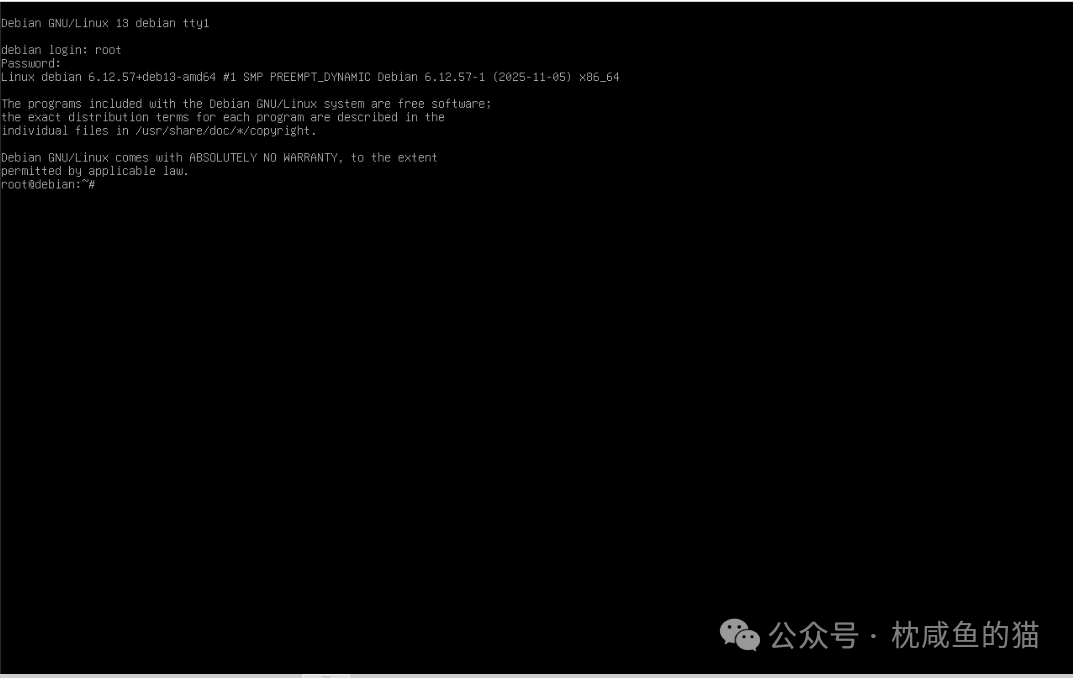 Proxmox Virtual Environment安装Debian13图文教程_pve 安装debian-CSDN博客