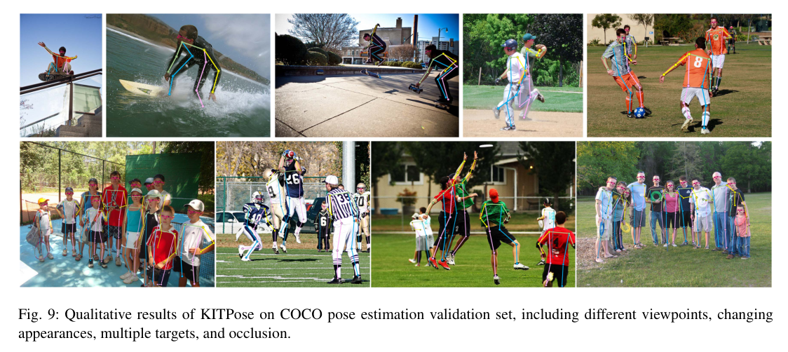 哺乳动物姿态估计：Learning Structure-Supporting Dependencies via Keypoint Interactive Transformer for ...